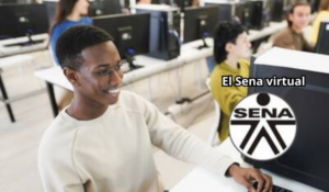 El Sena virtual